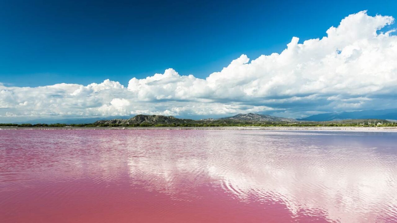 Lagos Rosa Por Que Os Lagos Pink Da Austrália São Cor De Rosa?